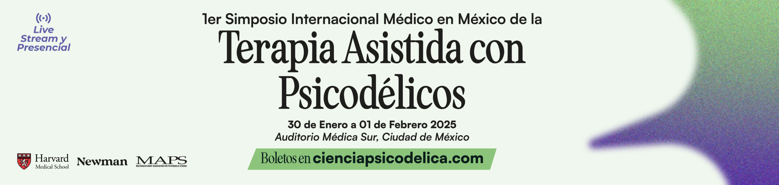 Explorando el potencial terapéutico de los psicodélicos: un enfoque en el MDMA - Terapia ...
